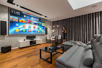 ENTERTAINMENT SYSTEMS